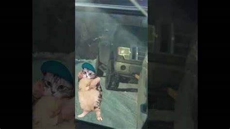 When You Buy A Parts Truck For Less Than 5 Of The Original Msrp Price