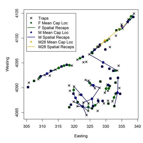 Pdf Spatial Capture Recapture For Categorically Marked Populations