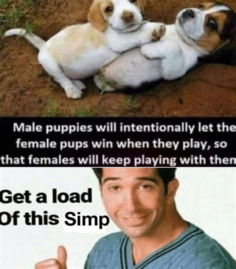 Simp Scrolller Simp Scrolller