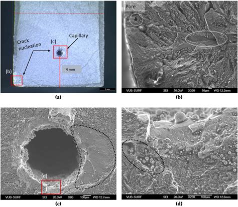 Materials Special Issue Failure Analysis In Materials