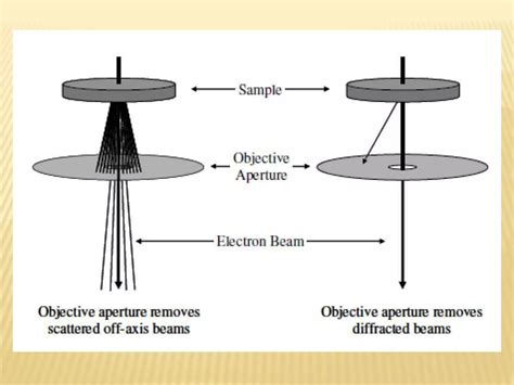 Electron Microscopy Tem And Sem Pptx