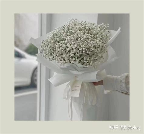 极美的八种花语独白 知乎