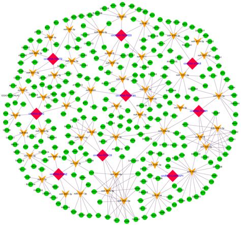 Integrated Regulatory Network Of Nine Upregulated Circrnas In The