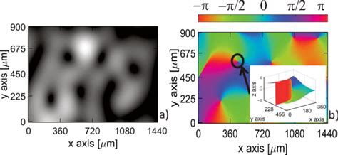 Optical Vortex Array Forming Spontaneously In The Free Running Pro Download Scientific Diagram