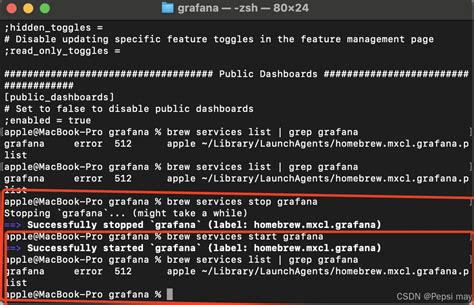 【求助】mac使用homebrew安装grafana，安装成功后进行启动grafana，服务报错grafana Error 512 Apple