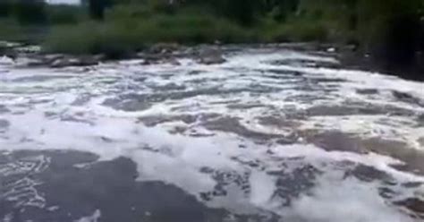 Cauvery River Water Pollution Karnataka Dycm Dk Shivakumar Orders