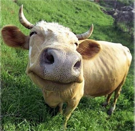 Woord Geil Maroela Media