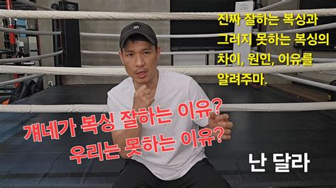 잘하는 복싱 못하는 복싱 원인이 뭐야 Eg 일본 한국 Youtube