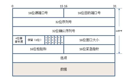 java 网络编程：tcp 和 udp 的简单示例 java tcp 例子 csdn博客
