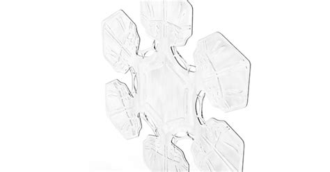 Realistic Snowflake 3d Incl Christmas And Decor Envato Elements