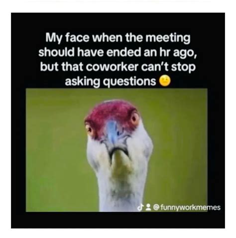 Funny Pic Thread No Swearing No Sex No Complaining Page 1118 Arrma Rc Forum