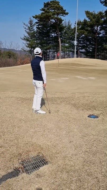 딱15미터 교과서😱ㅋ 골프 골프존 스크린골프 nx 골프존cc 필드 필드골프 필드레슨 웨지 퍼터 아이언비거리 골프레슨 숏게임 숏