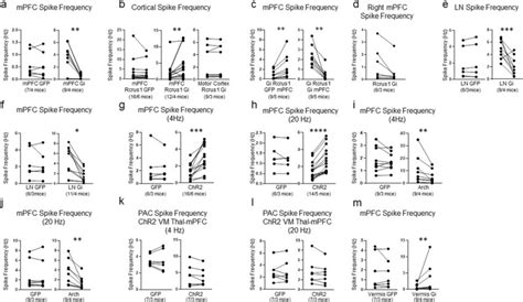Raw Frequency Values For All Normalized Single Unit Graphs A Frequency Download Scientific