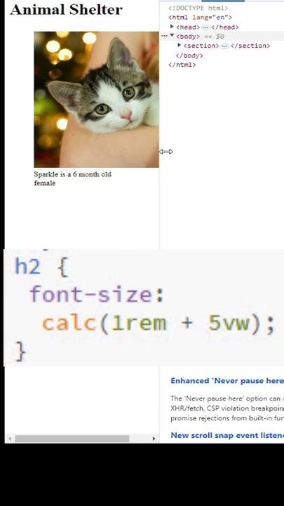 Css Responsive Font Size Youtube