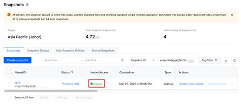 Use The Instant Access Feature Elastic Compute Service Byteplus