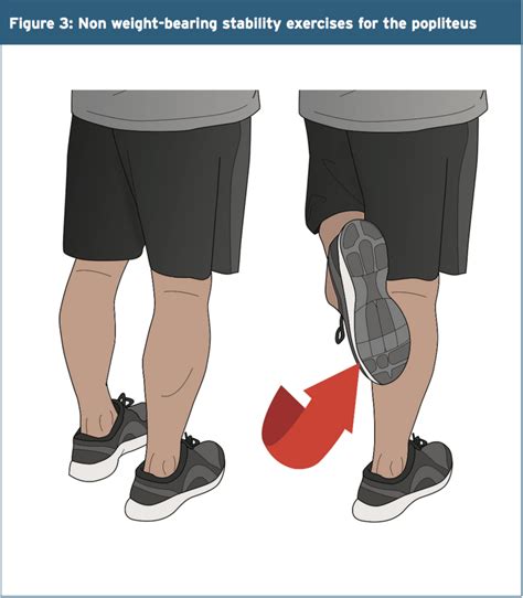 Popliteus Strain Physiopedia