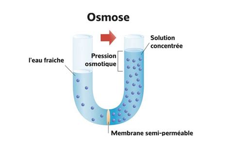 Easymetal Osmose Inverse Technologies