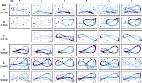 Flight Patterns Sculpture