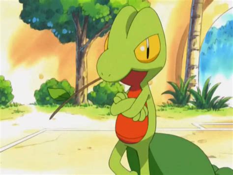 Pokemon Advanced E10 2003 Treecko Poses By Tcontreras32 On Deviantart
