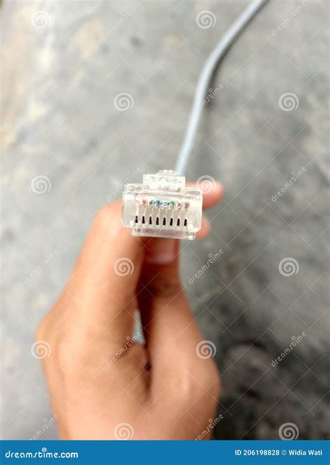 UTP Cable Straight Arrangement That Is Attached To The Connector Stock Photo Image Of