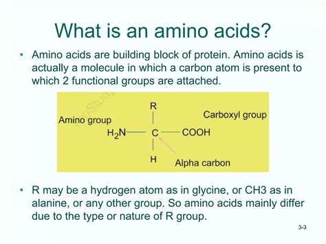 Lecture 4 Proteinsppt