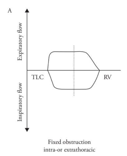 Ha Exam 4 Flashcards Quizlet