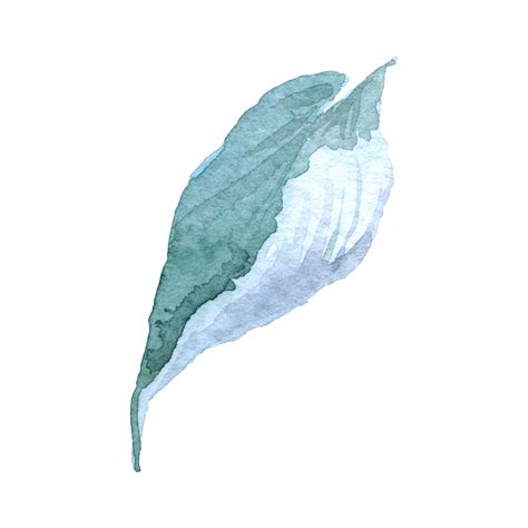 Violet Flower Watercolor Collection Png