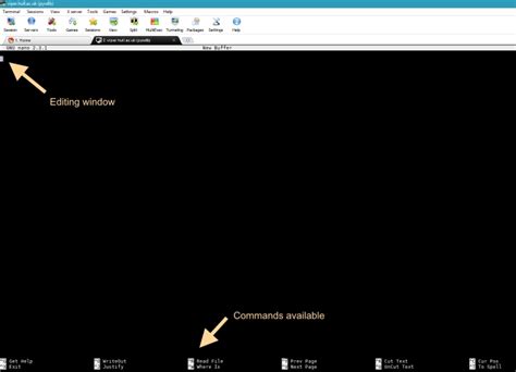 Traininglinux Nano Editor Hpc