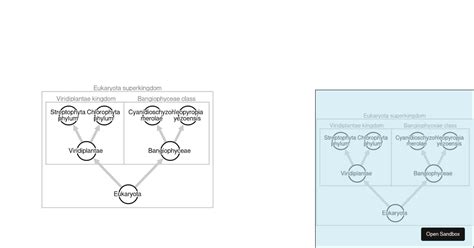 Cytoscape Expand Collapse Examples Codesandbox