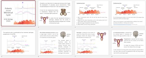 Menstrual Cycle Supplementary Slides And Worksheet Gcse Biology Aqa Teaching Resources