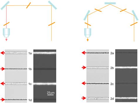 Ultrafast Laser Materials Processing Uncovers New Anisotropy Effects