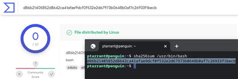 Understanding Executable Forensics Security