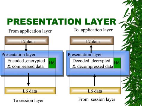 Osi Layer Phyiscaldatalink Layersession Layer Pptx