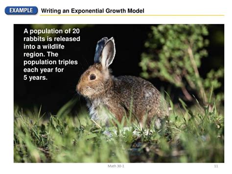 ppt 3b transformations of exponential functions powerpoint