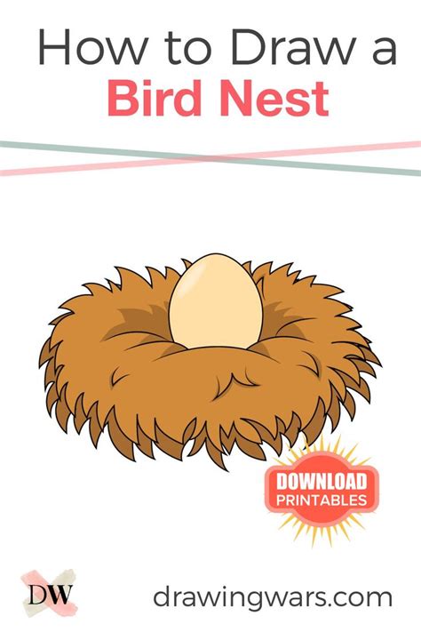 Bird Nest Drawing Step By Step At Margie Ronald Blog