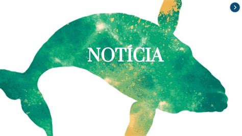 Pollution Presentation Genially