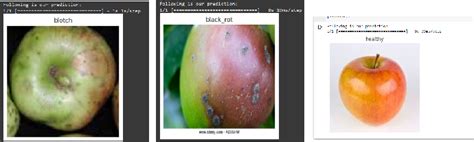 Figure 9 From Detecting Fruit Diseases Using Deep Learning And Image Analysis Semantic Scholar
