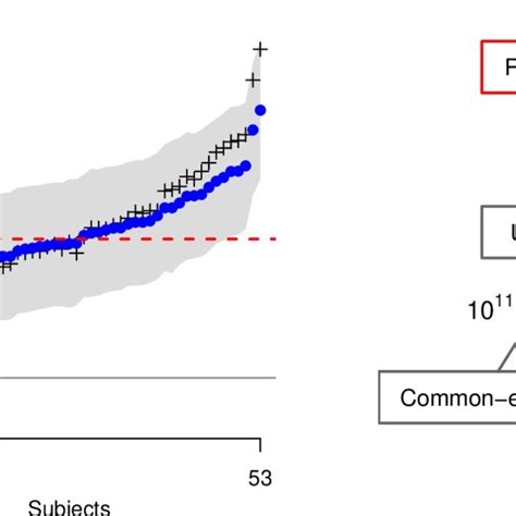 Individual Effect Estimates Left Column And Bayes Factor Model Download Scientific Diagram