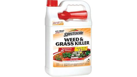 Best Weed Killer In Grass