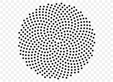 Fibonacci Number Sacred Geometry Organization Spiral PNG X Px Fibonacci Number Area