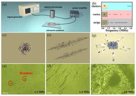 Micromachines Special Issue Advanced Micro Nano Manipulation And Positioning Techniques