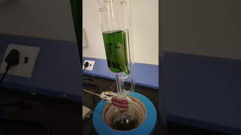 Phytoextraction 5 Youtube