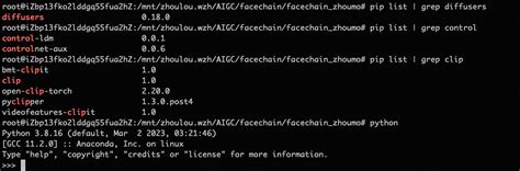 Keyerror Visionmodelvisionmodelembeddingspositionids · Issue