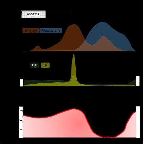 Schematic Representation Of Main Sex Hormone Levels Changes In Plasma Download Scientific Diagram