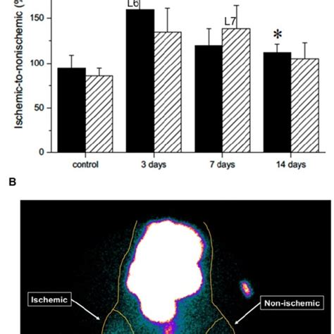 A Results From The Image Analysis Using Two Dimensional Download