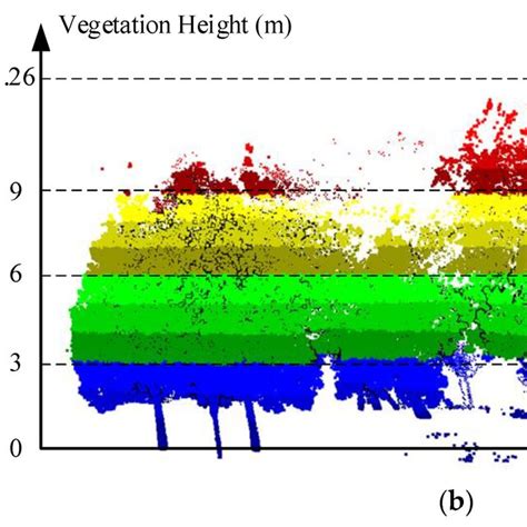 Schematic Diagram Of A Complex Vegetation Coverage Scene LiDAR Download Scientific Diagram