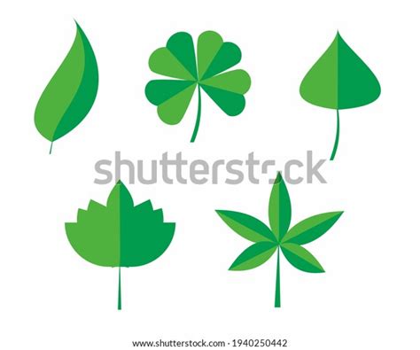Set Tropical Green Leaf Branches Vector Stock Vector Royalty Free