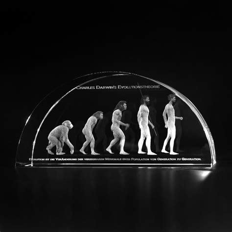 Darwin Evolution 3d Kristall Crafted In Crystal