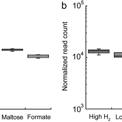 M Jannaschii Transcript Levels Relative Log Expression [rle] Download Scientific Diagram