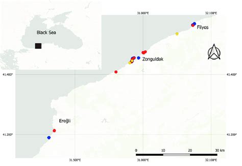 The Area Of The Surveys And The Locations Of The Cetacean Strandings